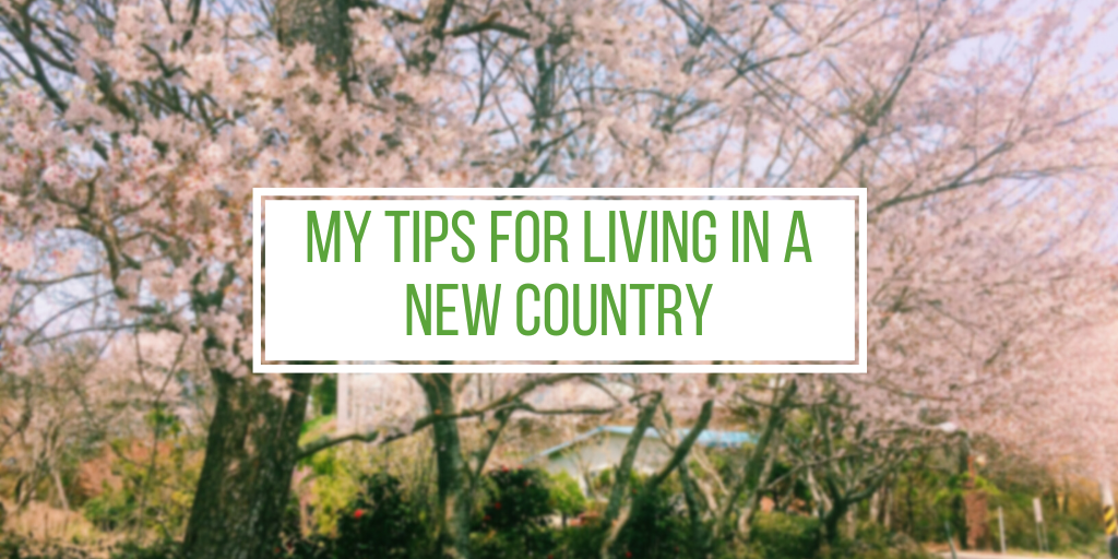 My Tips For Living In A New Country - chase the skies
